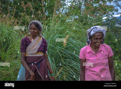 Persone Dello Sri Lanka Immagini E Fotografie Stock Ad Alta Risoluzione