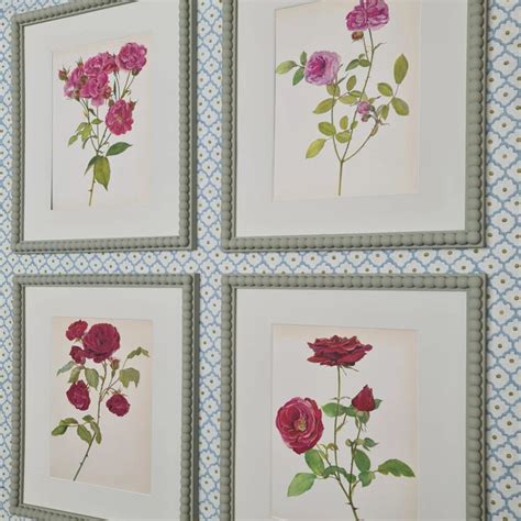 Set Of 4 Rose Bird Prints In Bobbin Frames