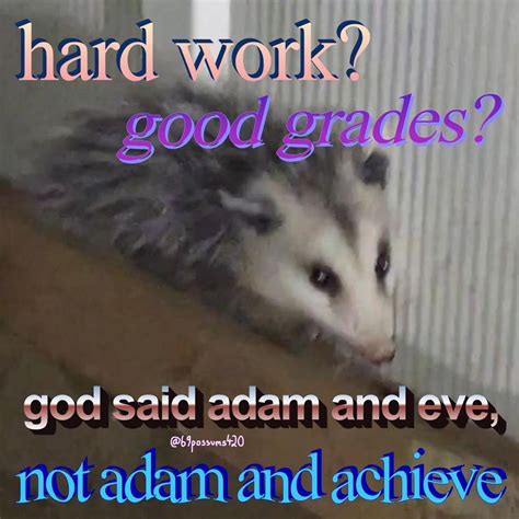 Trash Day Awesome Possum Dry Humor Text Memes Opossum Raccoons