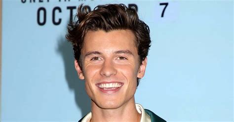 Shirtless Shawn Mendes Strips Down For Cold Water Plunge Watch
