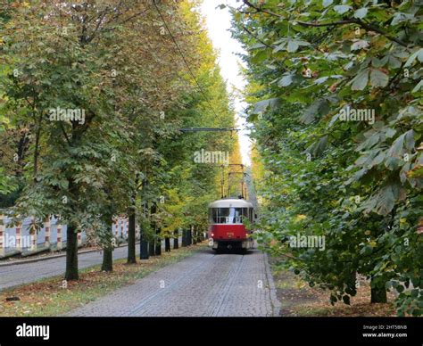 Tram In The Autumn Forest Landscape Prague Tram In A Colorful