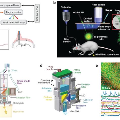 Pdf Optical Neural Interfaces