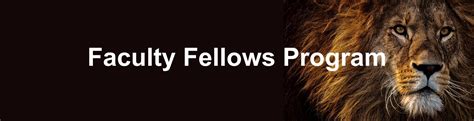 Faculty Fellows Saint Leo University Center For Teaching And Learning