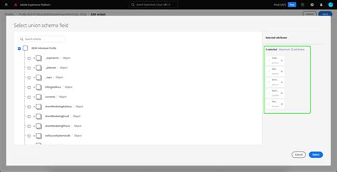 profile detail customization in the ui adobe experience platform