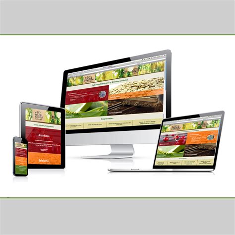 Proyecto Final Técnicas De Desarrollo Web Con Html5 Y Css3 Domestika