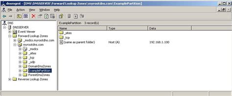 Domain Network Systems Dns Information Remove Application Directory