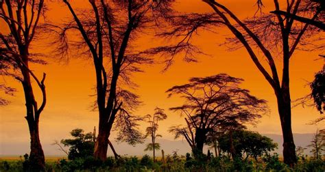 48 Hd Africa Wallpapers For Desktop And Mobile