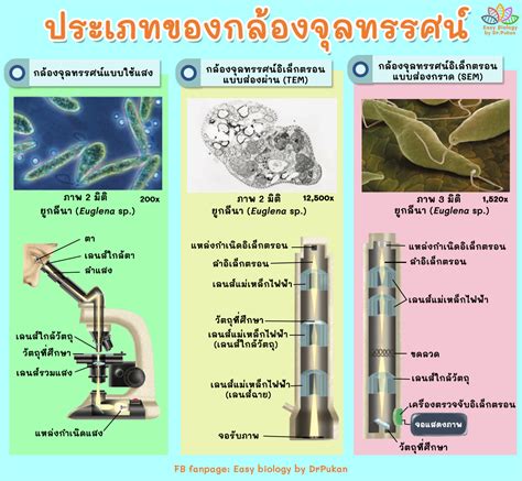 ประเภทของกล้องจุลทรรศน์ 🔬 Easy Biology By Drpukan