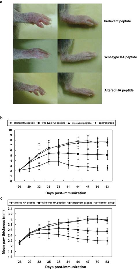 Altered Influenza Virus Haemagglutinin Ha Derived Peptide Is Potent