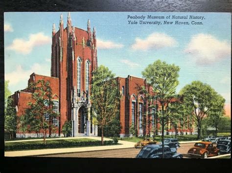 Vintage Postcard 1940 Peabody Museum Of Natural History Yale New Haven