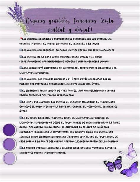 Órganos Genitales Femeninos Fraii Udocz