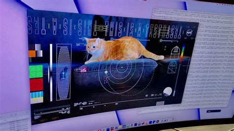 Nasa Transmits Cat Video To Earth Using Space Lasers Pcmag