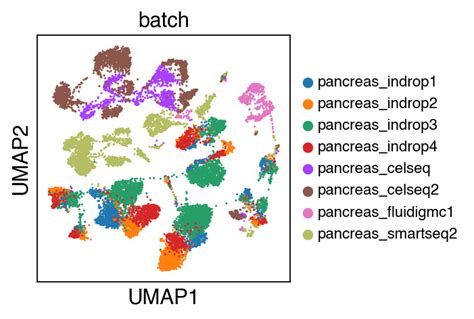 Projection Pancreas Data Using Scalex — Scalex 102 Documentation