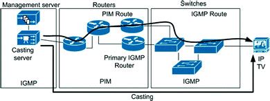 Process Of Multicasting Download High Quality Scientific Diagram