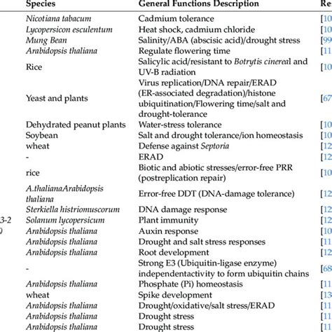 Ubiquitin Conjugating Enzymes With Different Known Functions A
