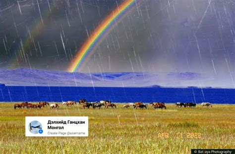 •Сонирхол нэг хүнтэй байна гэдэг хамгийн том жаргал юм даа 🐎🔥💗 By Mongolian Girls Facebook