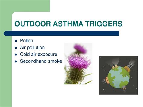 How Pollen Trigger Asthma At Lucille Stone Blog