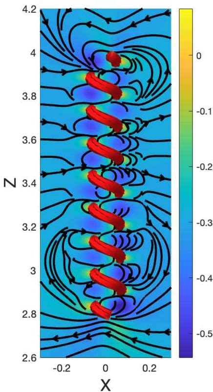 Designing A Magnetic Micro Robot For Transporting Filamentous