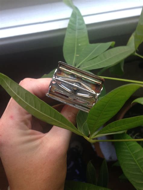 How To Maintain A Healthy Safety Razor Going Zero Waste