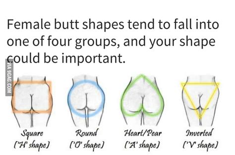 Female Butt Shapes