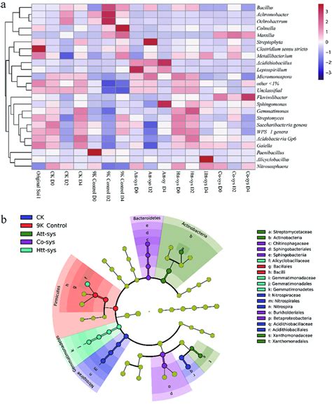 A A Heatmap Showing The Relationship Between Relative Abundances