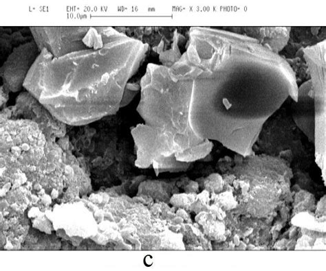 sem micrographs a untreated sample b treated cured for 4 days c