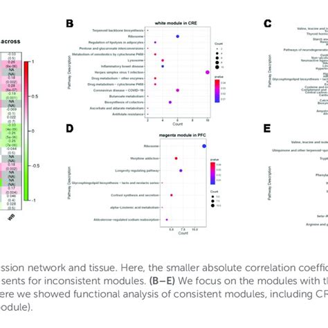 A Hierarchical Clustering Using Shared Genes Is Similar To The