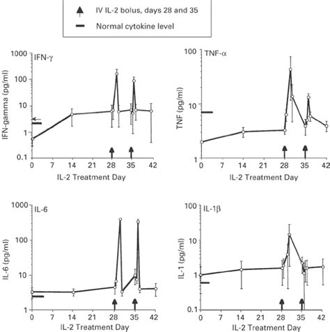IL 2 Based Immunotherapy After Autologous Transplantation For Lymphoma