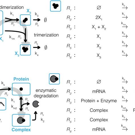 Workflow For Modeling Parameter Estimation And Model Selection User