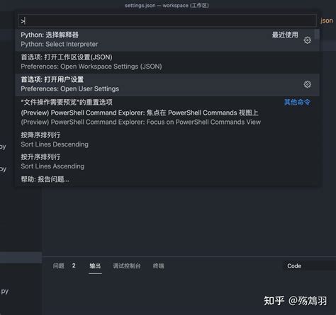 Vscode无法导入模块错误 知乎
