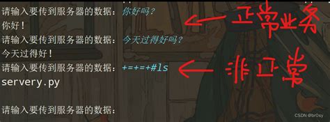 基于Python Socket实现小型的远程木马 包含实验
