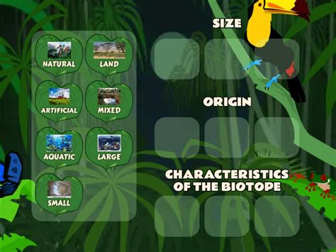 How We Classify Ecosystems Group Sort