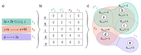 Robustness And Complexity Of Directed And Weighted Metabolic Hypergraphs
