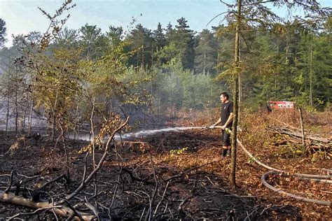 Upały Rośnie zagrożenie pożarowe w lasach