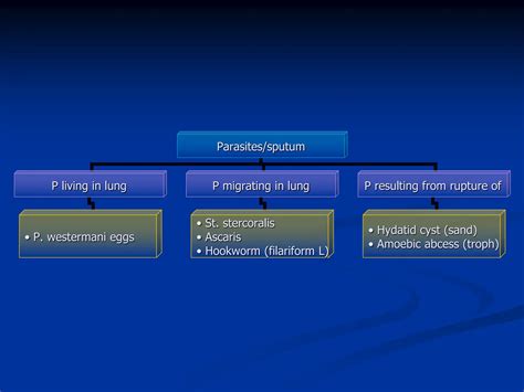 2laboratory Diagnosis Of Parasitic Infectionsppt