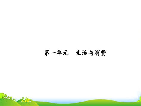 高考政治总复习 专题01 生活与消费 第3课 多彩的消费创新课件word文档免费下载亿佰文档网