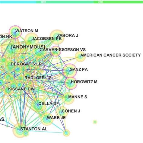 mapping and cluster on co citation authors some cluster places have