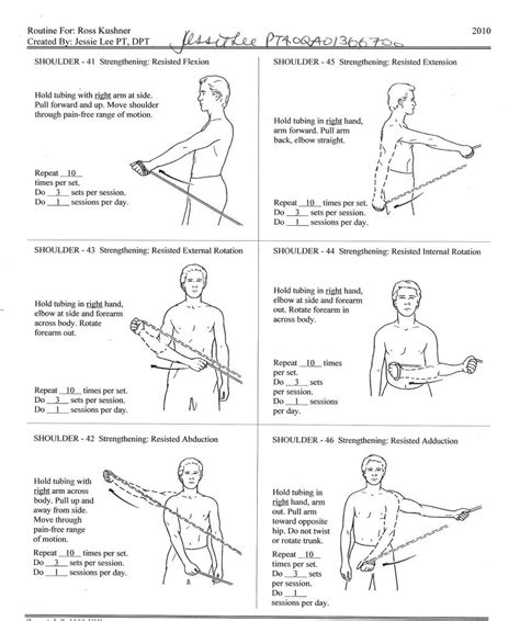 Printable Theraband Home Exercise Program