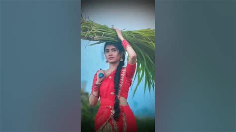 Trending Folk Song Short Youtube