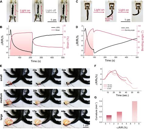 Somatosensory Actuator Based On Stretchable Conductive Photothermally