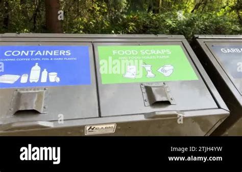 Wet Trash Paper And Garbage For Recycling Garbage Sorting In Canada You