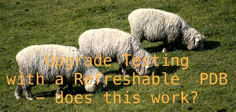 Upgrade Testing With A Refreshable Pdb Does This Work