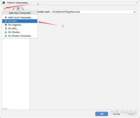 Pycharm Python Debug