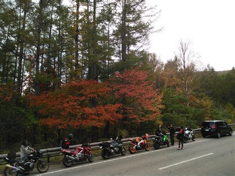 埼玉ツーリングクラブ バイクツーリングクラブ紹介 レディスバイク