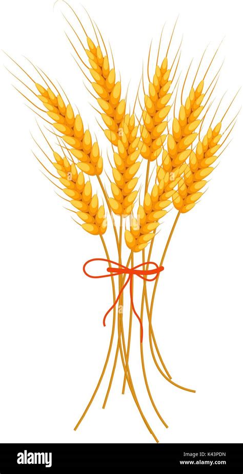 Wheat Icon Flat Style Isolated On White Background Vector Illustration Stock Vector Image