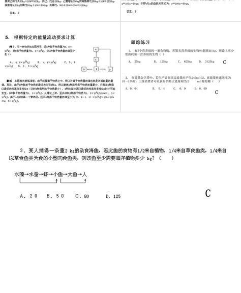 生态系统中能量流动ppt模板 卡卡办公