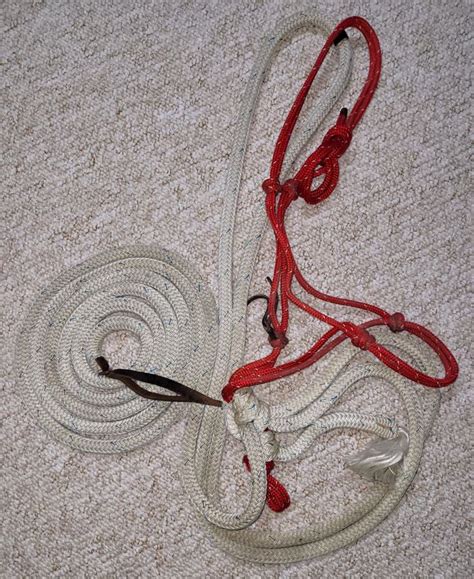 Original Parelli Hackamore Wb Gebraucht In Für Chf 59 Mit Lieferung Auf Ricardo Kaufen