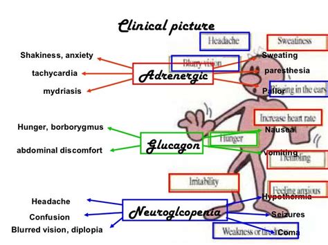 Diabetic Hypoglycemic Coma In Elderly