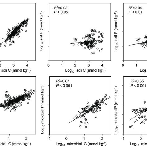 Relationships Among C N And P In The Soil And The Soil Microbial