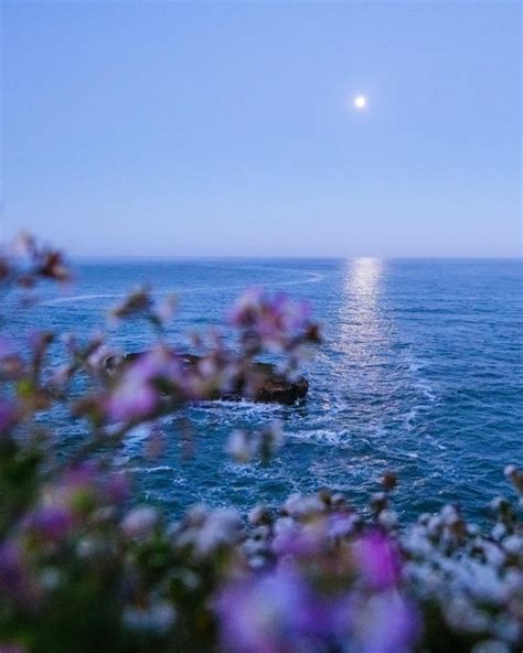 Naked At Night On Tumblr